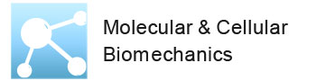 Molecular & Cellular Biomechanics